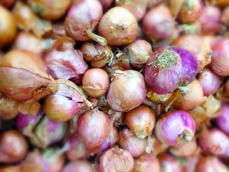 Shallots - One of Many of Pho's Critical Ingredients - Part 1 ...